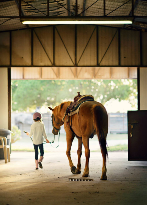 Welcome - Star T Ranch